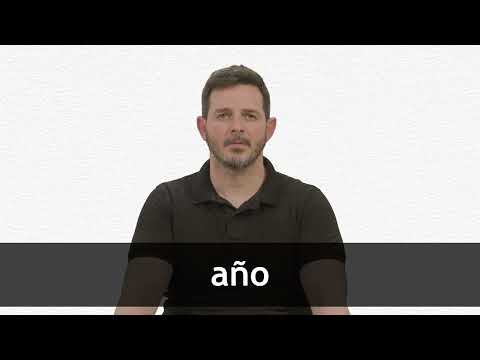 English Translation of “AÑO” | Collins Spanish-English Dictionary