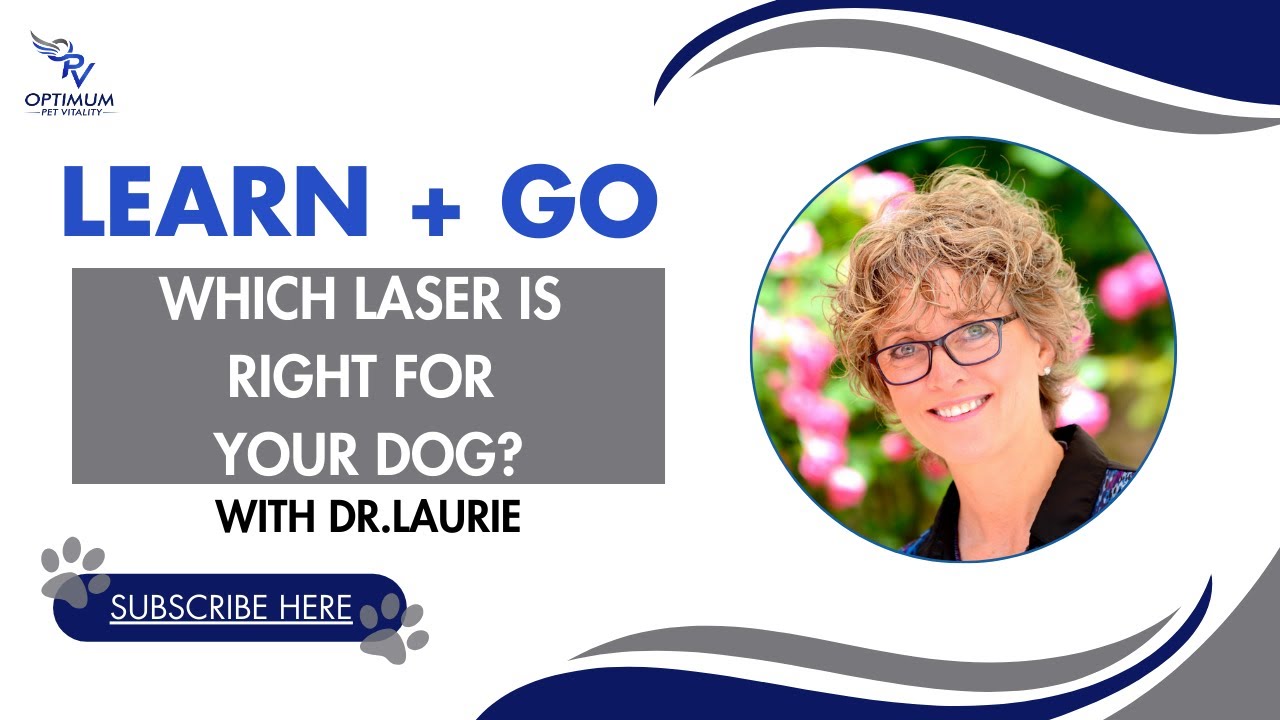 Learn + Go Lasers Explained  Choosing The Right One