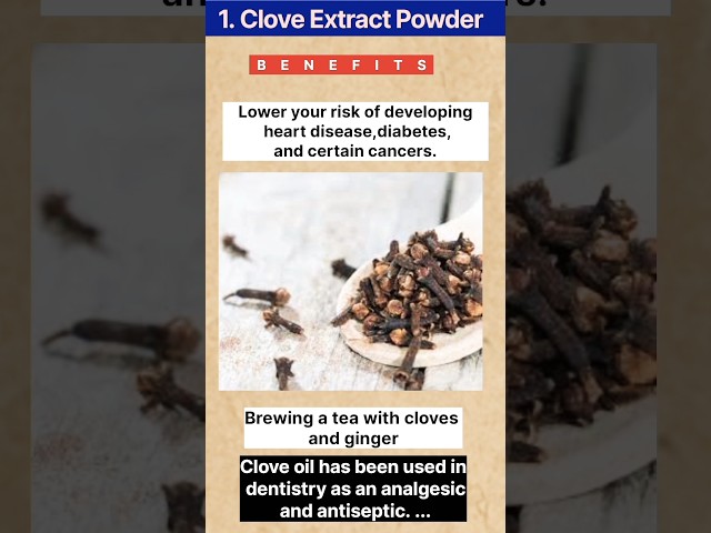 Spray Dried Powder - Bay Leaf Powder Manufacturer from Jaipur