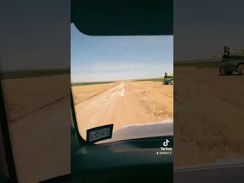 Dalhart TX silage harvesting 2022
