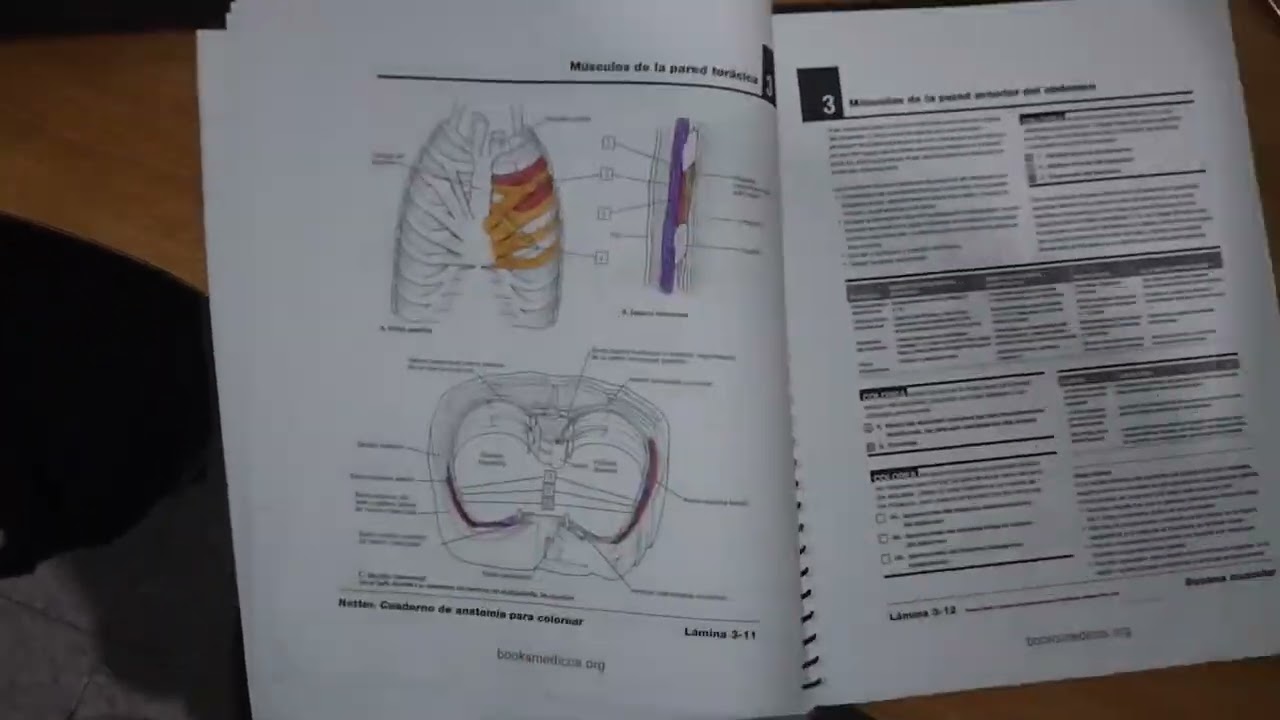 LÁMINAS DEL LIBRO NETTER PARA COLOREAR