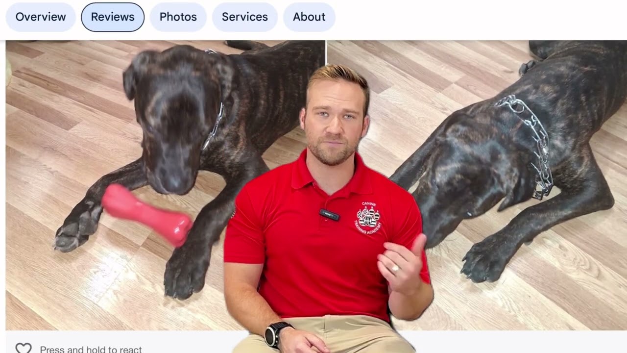Welcome to Double H Canine