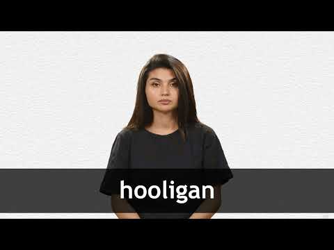 HOOLIGAN 释义 | 柯林斯英语词典