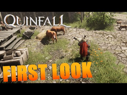 Steam Community :: Video :: The Quinfall - Gameplay