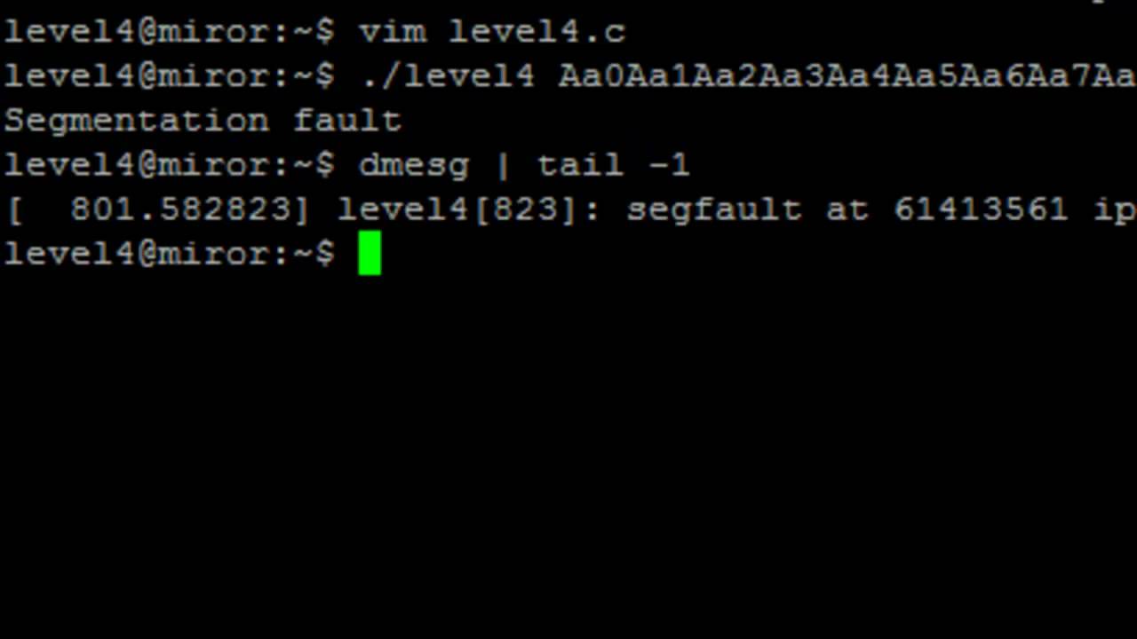 [NDH2010] level 4 : shellcode and buffer overflow