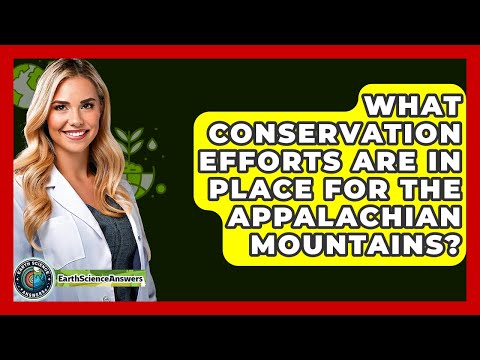 What Conservation Efforts Are In Place For The Appalachian Mountains? - Earth Science Answers