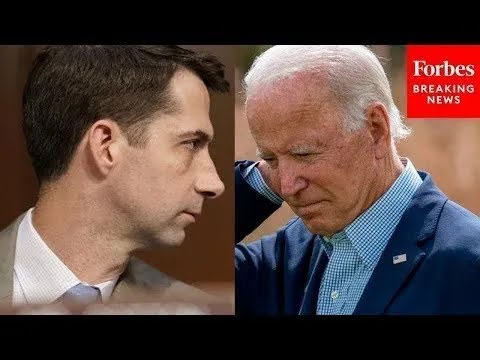 Tom Cotton: 'The Administration Is Running Around Like a Cat Trying To Chase Its Tail'