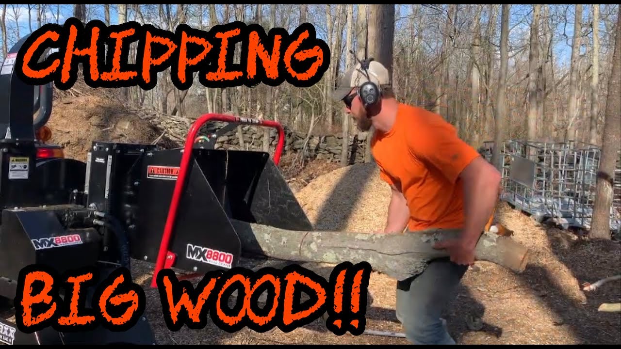 #91 Chipping Big Wood with the WoodMaxx MX-8800 PTO Chipper