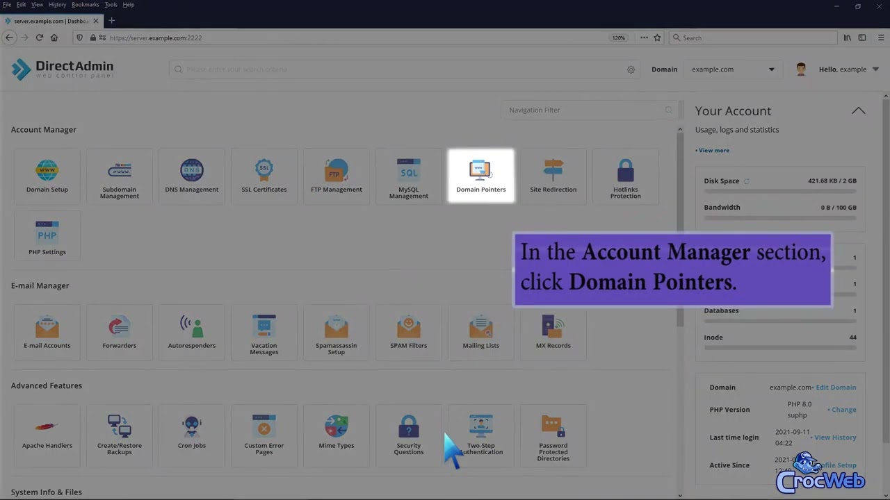 How to remove the alias domain in DirectAdmin - CrocWeb Cloud