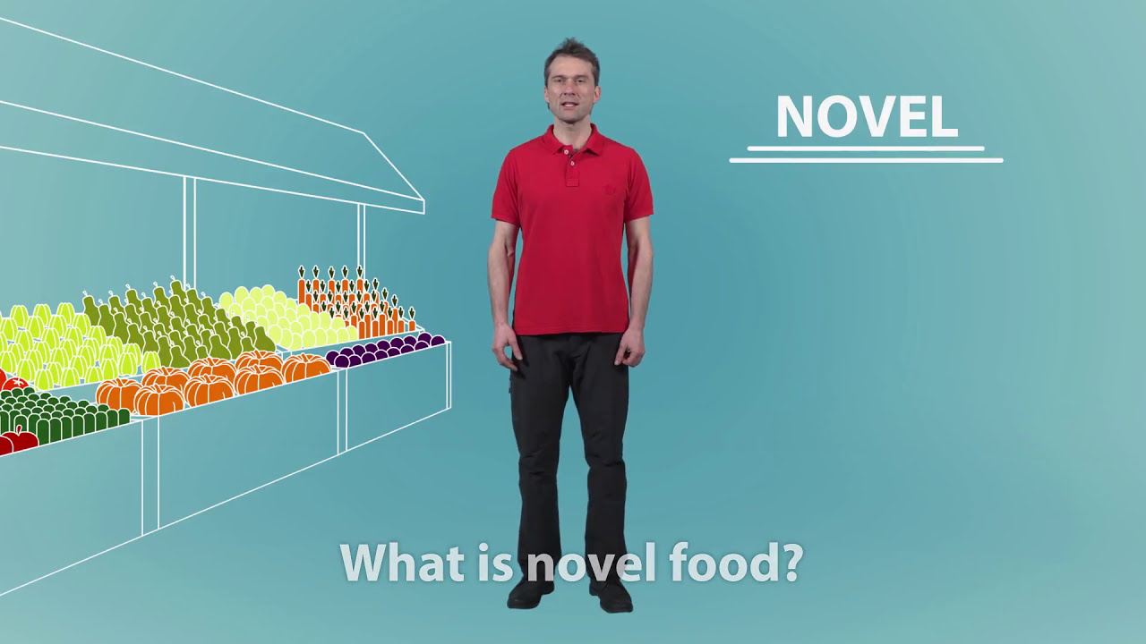 What is novel food?