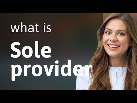 Understanding "Sole Provider": A Guide for English Language Learners