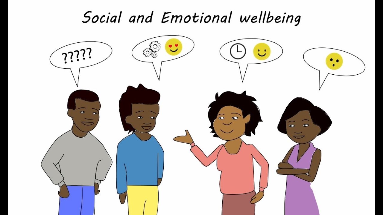 Indigenous Social and Emotional Wellbeing Explainer (SEWB)