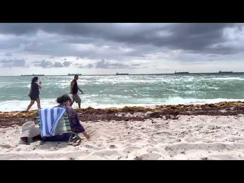 Nada at the Beach – Wissam Charafeddine