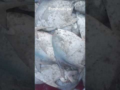 Freshcuts.pk all verity sea food available visit to my website and order now Thank you