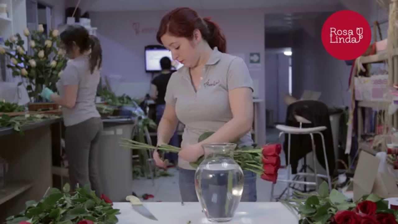 florero anfora 24 rosas