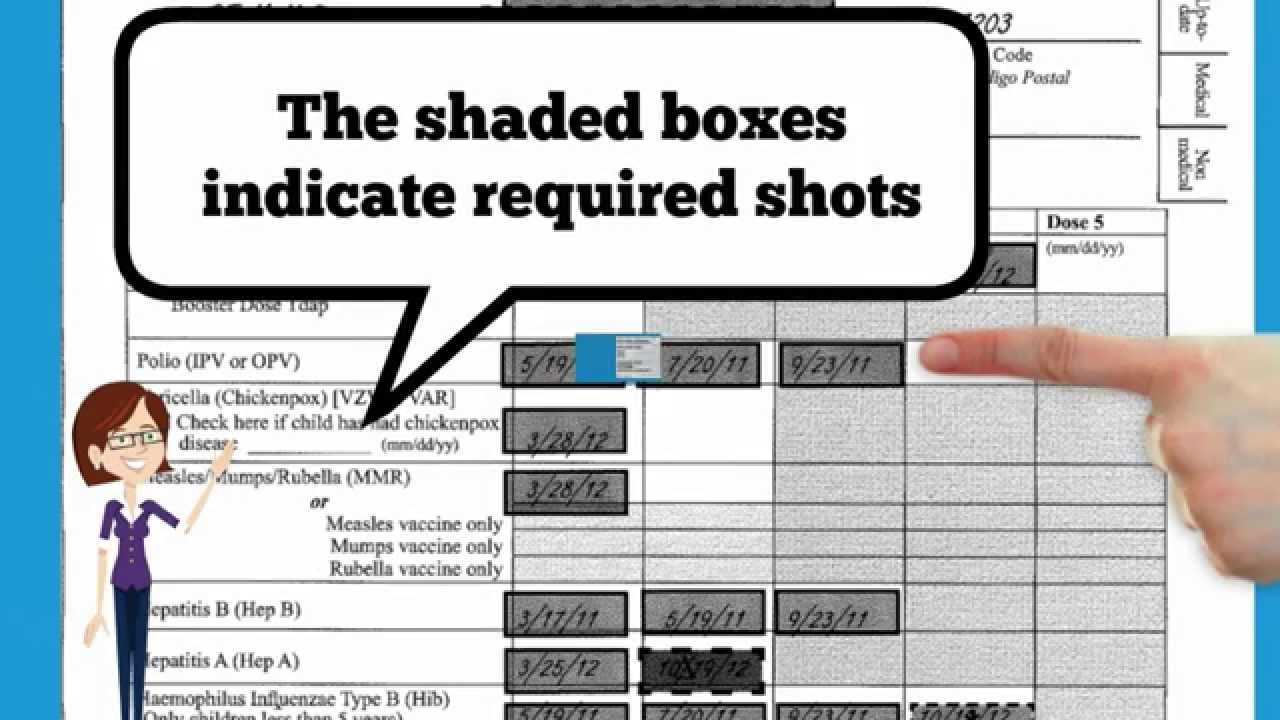 Immunization Reporting Process: Step 2, Assess Student Immunization Records
