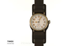 Timex TW2R87900 - Welton Watch • Watchard.com
