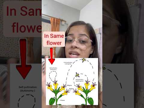 Self and Cross Pollination ๐ฆ๐ธ๐ - 7th Class Biology