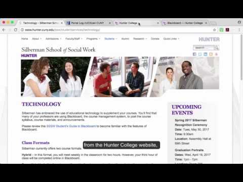 Blackboard: The Quick Tour