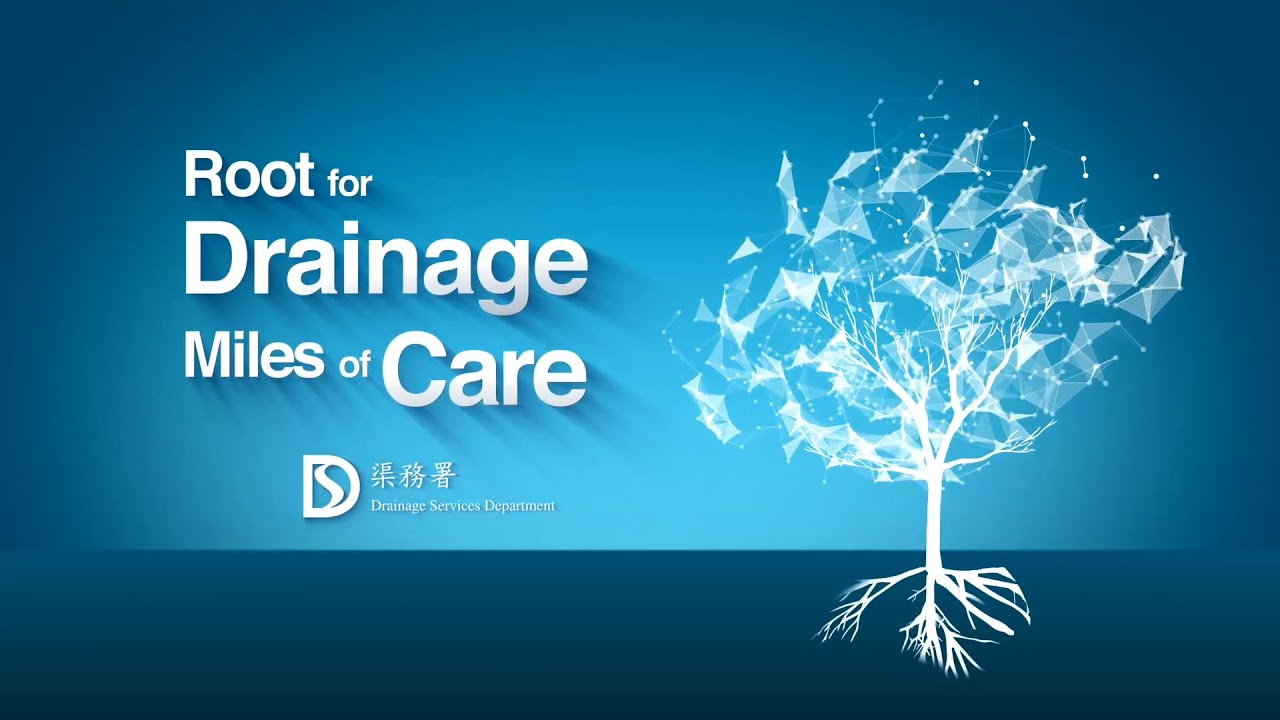 DSD Corporate Video (Long Version)