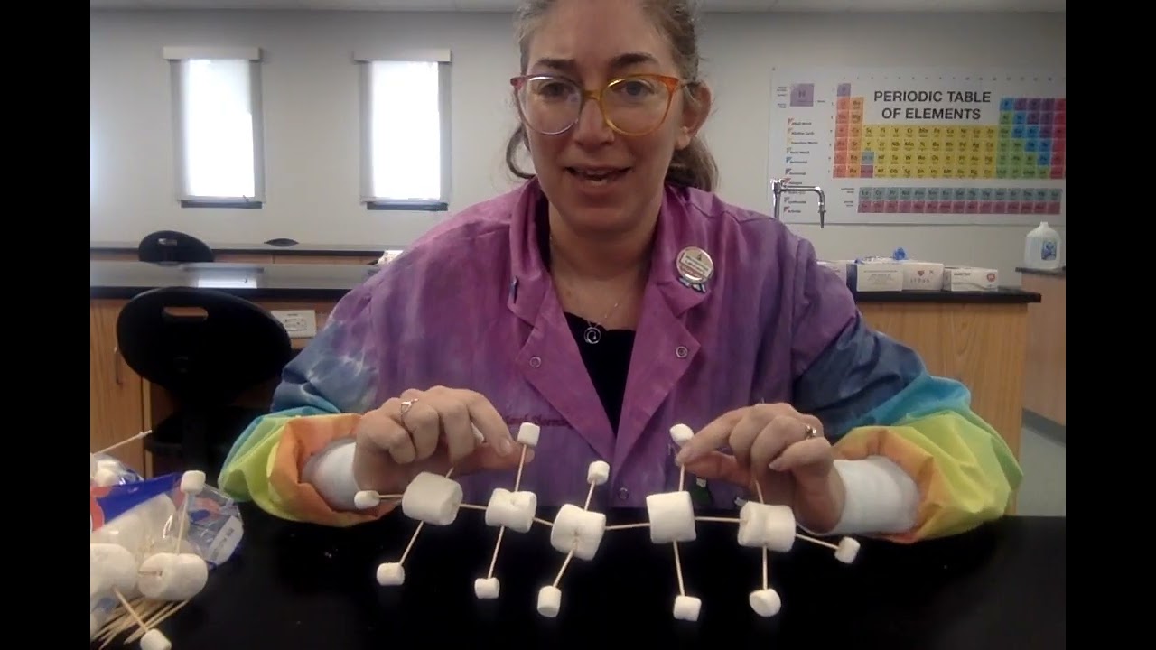 Building organic molecules lab activity