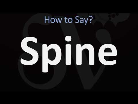 How to Pronounce Spine? (CORRECTLY)