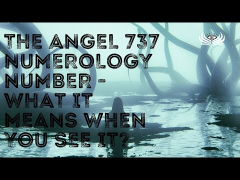 The Angel 737 Numerology Number 💫 What It Means When You See It?