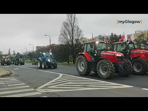 Grupa rolników samowolnie opuściła Ostrów Tumski  Nie mieli zgody organizatora protestu