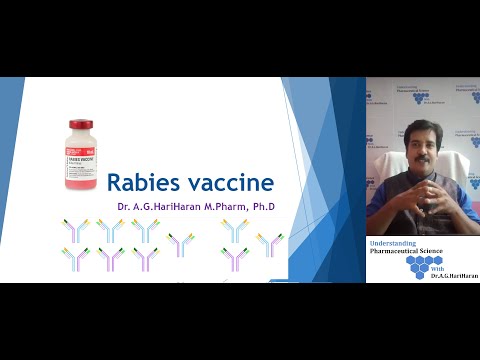 Anti Rabies Injection - Indirab Vaccine Latest Price, Manufacturers ...