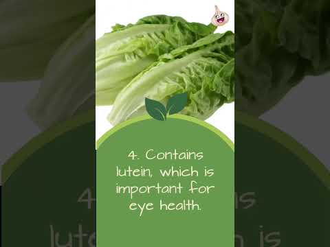 Romaine Lettuce’s Top 10 Benefits 🥰 #romainelettuce