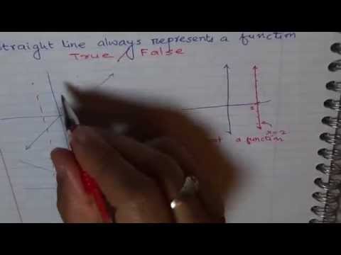 Are All Lines Functions