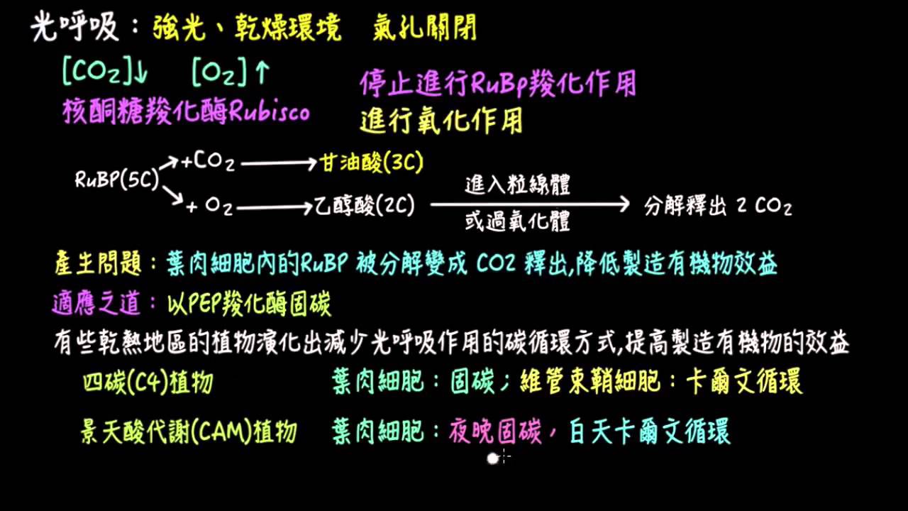 C3、C4、CAM植物 | 自然 | 均一教育平台