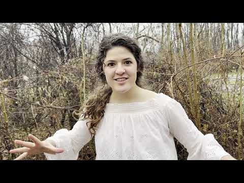 Character Study: Ariel -The Tempest