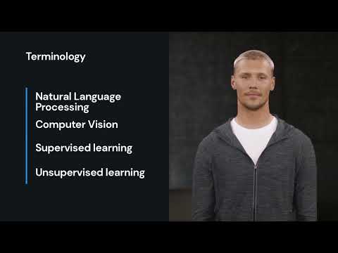 Lesson 4: Basic terminology in AI