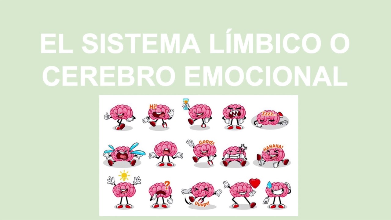 120 LAS EMOCIONES Y EL CEREBRO-NURIA CEREZUELA