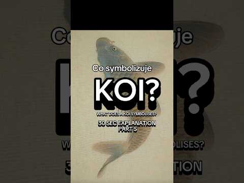 co symbolizuje Koi? what does a koi symbolize? #irezumi #wabori #japanesetattoo