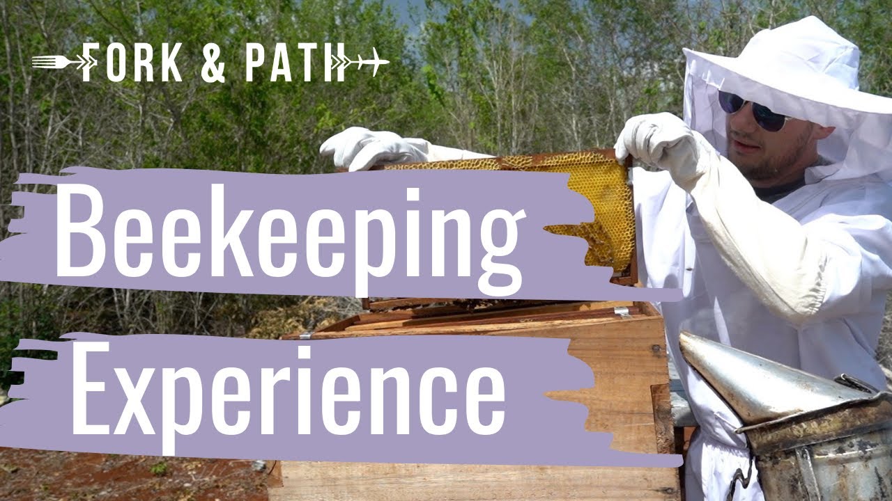 Beekeeping Experience | Learning Beekeeping in the Yucatan