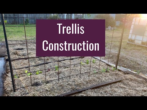 Simple Trellis Construction