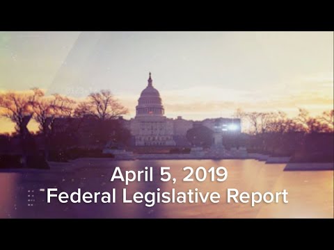 House Approves Reauthorization of Violence Against Women Act