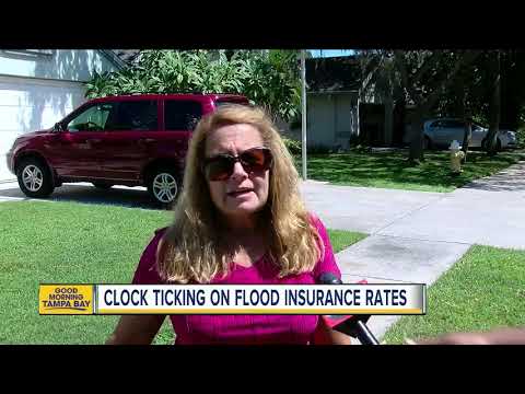 Pinellas County flood map changes: Insurance rates may increase