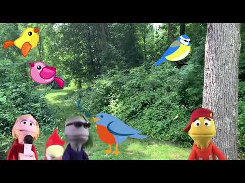 Rockin' Robin!