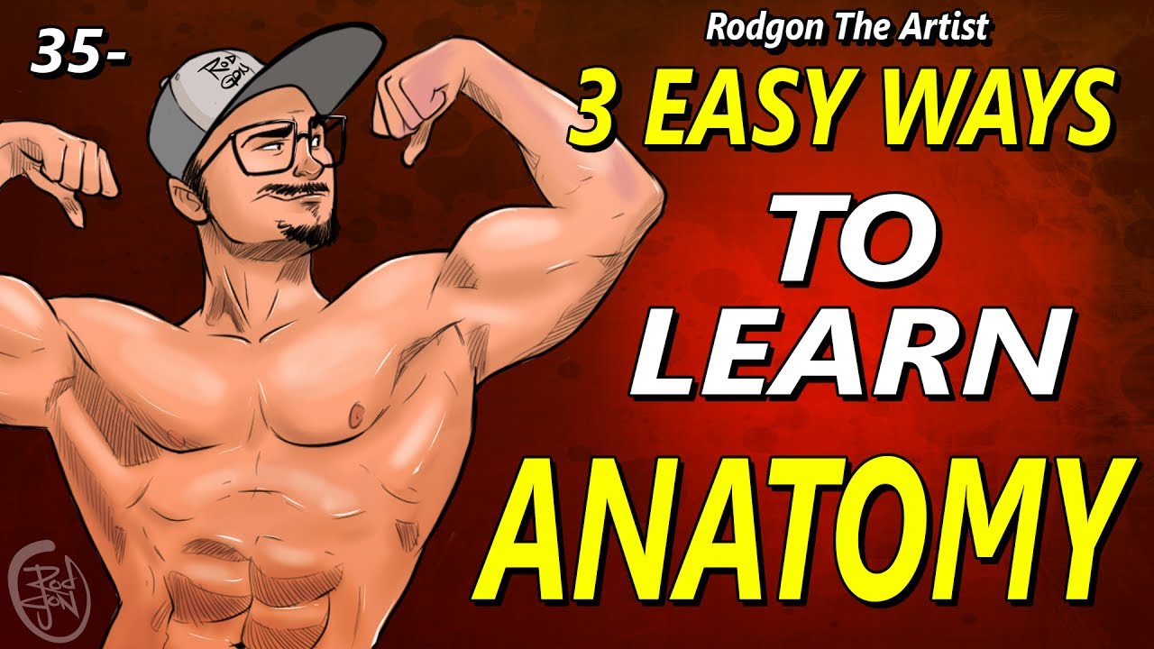 35 - 3 Easy ways to learn ANATOMY for artists