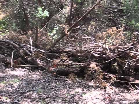 Natural Berms | Design Build Doug