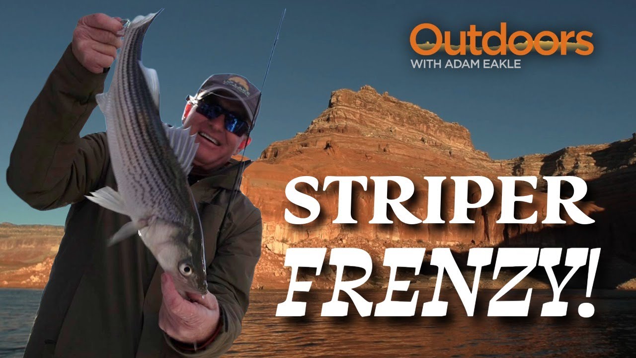 How to Catch Winter Stripers on Lake Powell – INSANE Bite Once You Locate Them!