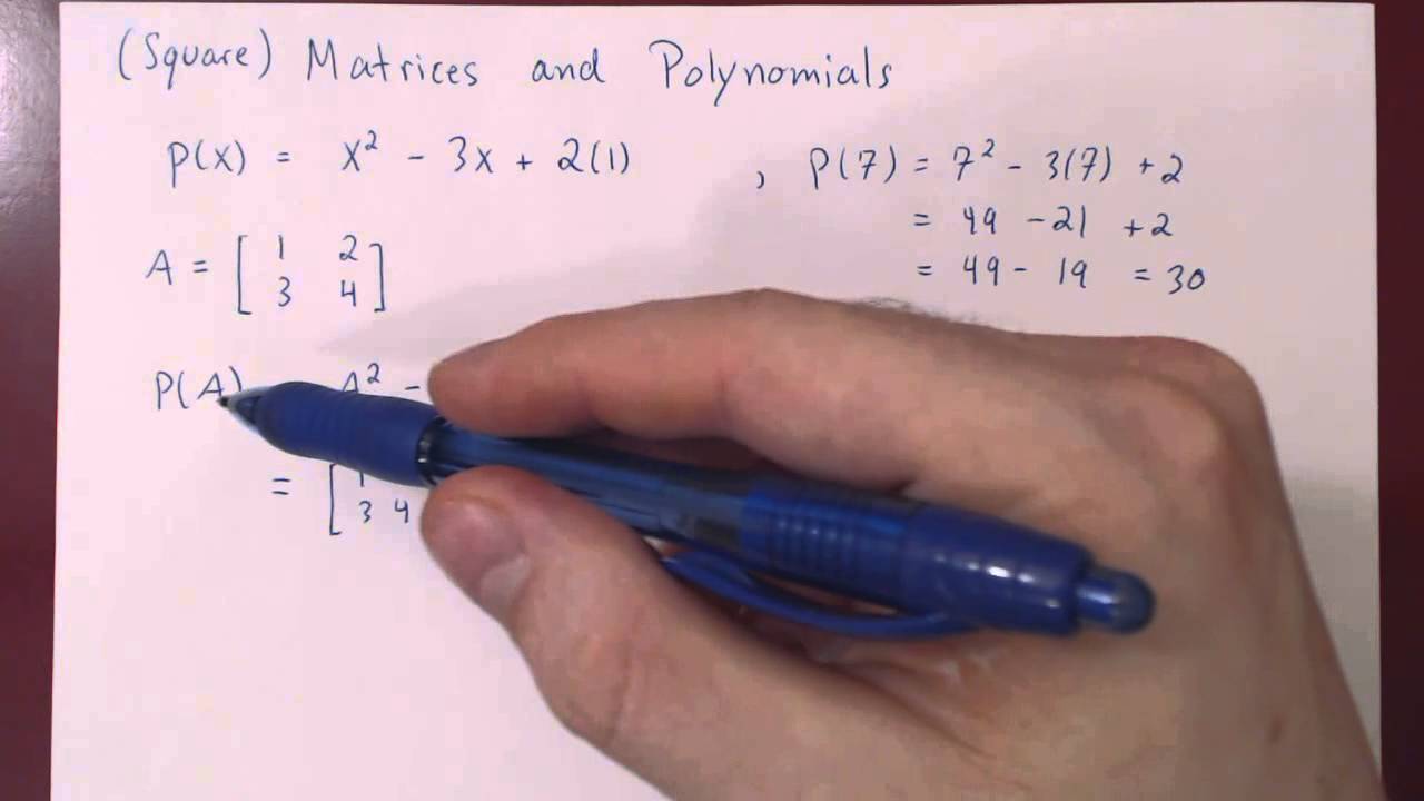 Matrices and Polynomials