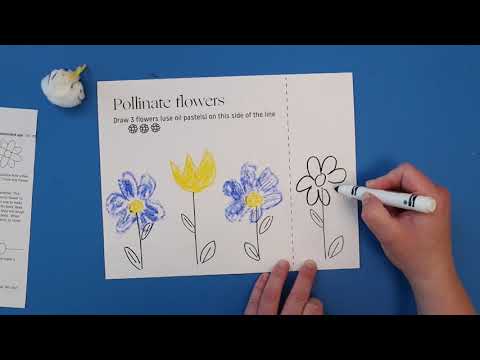 Create Your Own Bee and Visualize Cross-Pollination