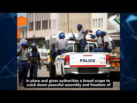 Africa Insight – Political Spotlight
