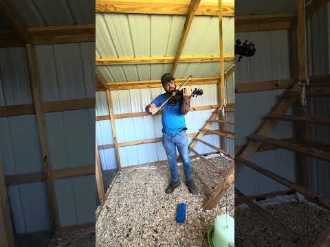Black Walnut! Brad ROBINSON 5-String Violin 4/4 Bluegrass | Reverb