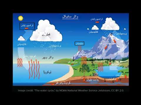 The Water Cycle | Ecology | Khan Academy Urdu