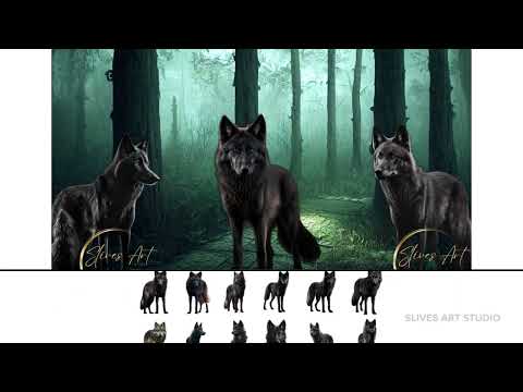 Wolves Overlays - (35) - PNG files